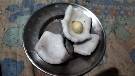 Kacche Nariyal Ka Phool Enjoy Enjoymasti Mastenjoy Youtube