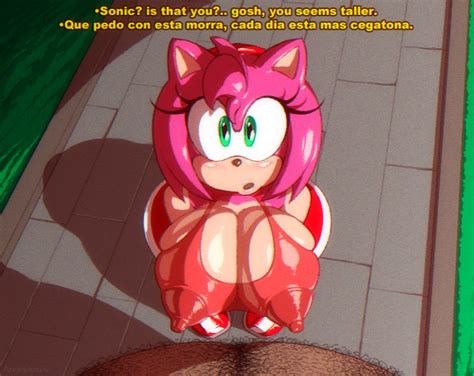 Amy Rose Have Vision Problems By Angelauxes Hentai Foundry