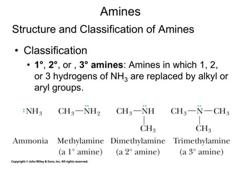 Amines Structure Classification And Reactions