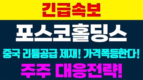 포스코홀딩스 중국 리튬공급 제재 가격폭등한다 주주 대응전략 Youtube