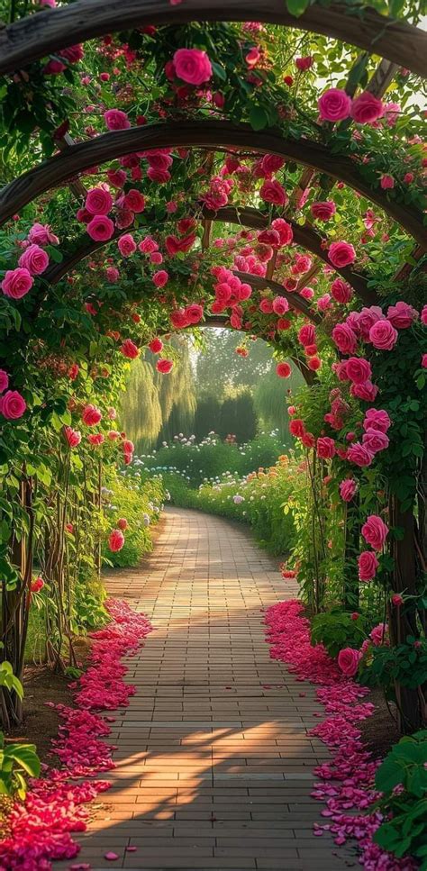 အိမ်မက်မက်ကြသူများသာ