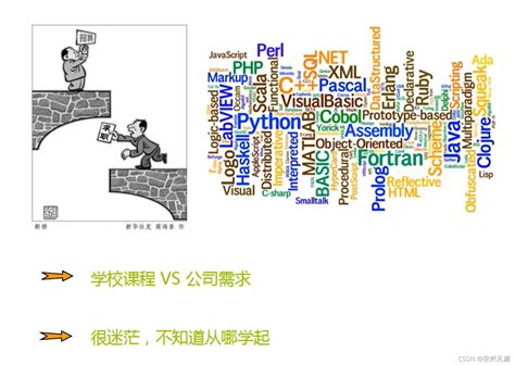 零基础玩转c语言系列第一章——初始c语言（上）c语言第一章怎么讲 Csdn博客
