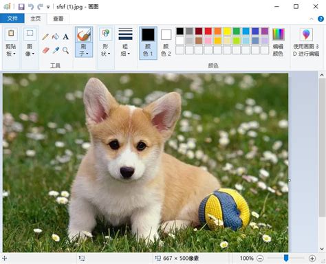 Win10画图工具下载win10自带画图软件 V10 绿色免费版下载 前端工具导航