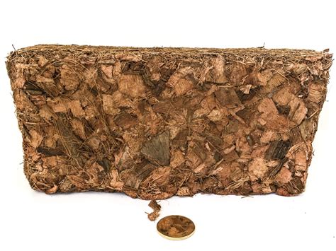 Coco Chip Block Us Rock Corporation