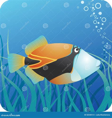 Tropical Reef Triggerfish Under Water Stock Vector Illustration Of