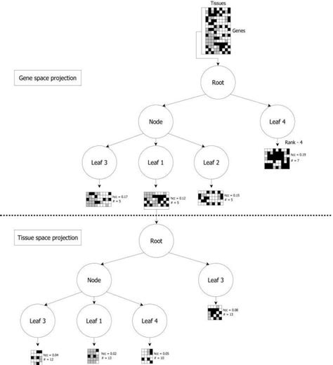Neural Biclustering Scheme First Two Steps Download Scientific Diagram