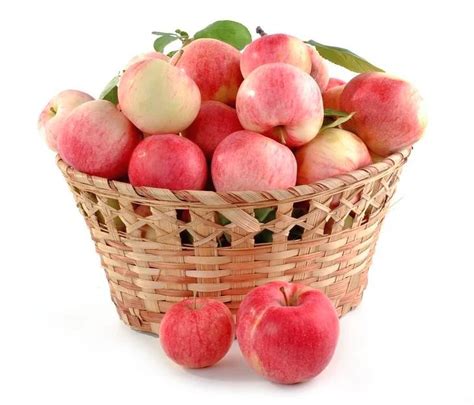 자바 모든버전 다운로드 링크 정리 및 설치 Oracle Openjdk