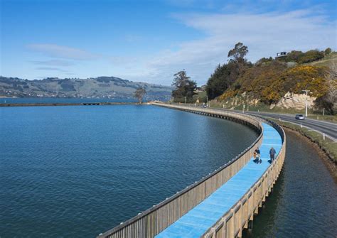 A Guide To Mastering Shared Path Etiquette Otago Trail Hub
