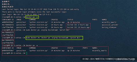 【如何简单优雅的来用docker布置python环境跑脚本【linux 宝塔】】docker跑代码 Csdn博客