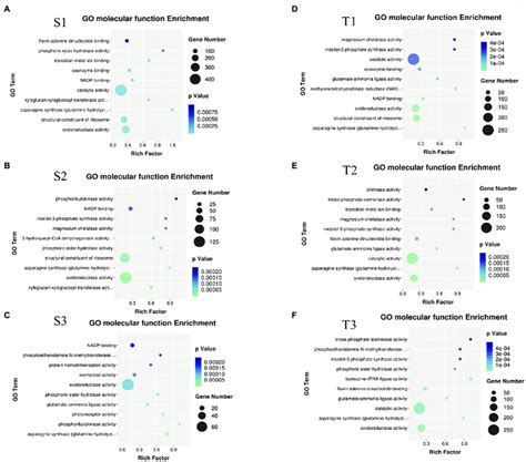 Gene Ontology Go Molecular Function Enrichment Analysis Of Degs Download Scientific