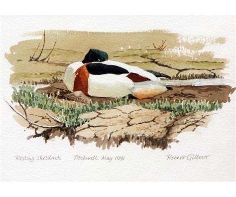 Robert Gillmor Cley Marsh And Its Birds 1996 Mutualart