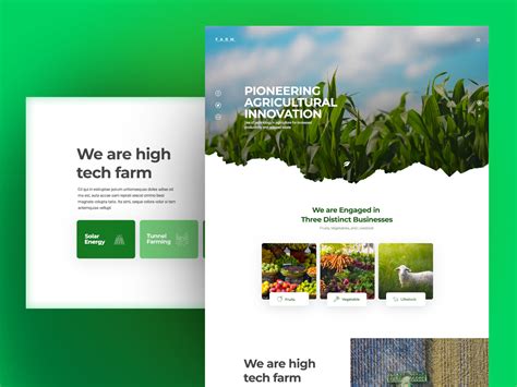 Innovative Farm Web Design By Shafaq Adil Taimoor On Dribbble