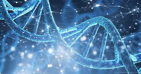 Nukleotide Schlüssel Zur Zellgesundheit