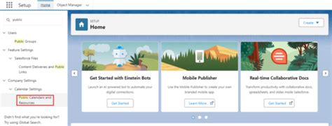 How To Setup Public Calendar In Salesforce Forcelearn