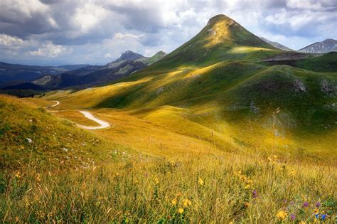 Hills Landscape Nature Plants Flowers Grass Hd Wallpaper