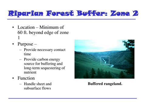 Ppt Riparian Forest Buffers Powerpoint Presentation Free Download Id236358
