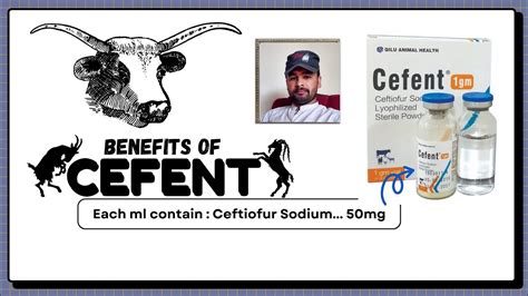 CEFENT 1gm Best for PPR | Ceftiofur Sodium 50mg uses and Benefits - YouTube