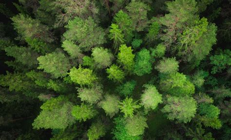 Closing The Loop The Transition To Circularity Closed Loop Partners