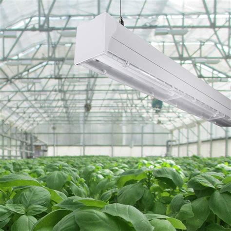 Led Grow Lights For Horticulture Led Grow Lights Grow Lights