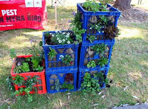 How To Use Milk Crates For Gardening At Ian Milligan Blog