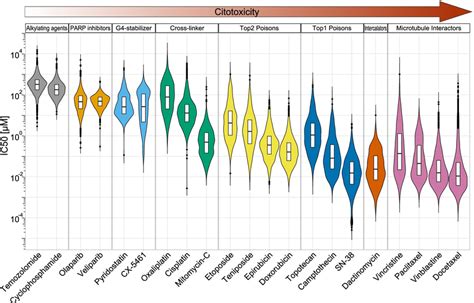 Cytotoxicity Potency Of Anticancer Dna Interacting Agents Violin