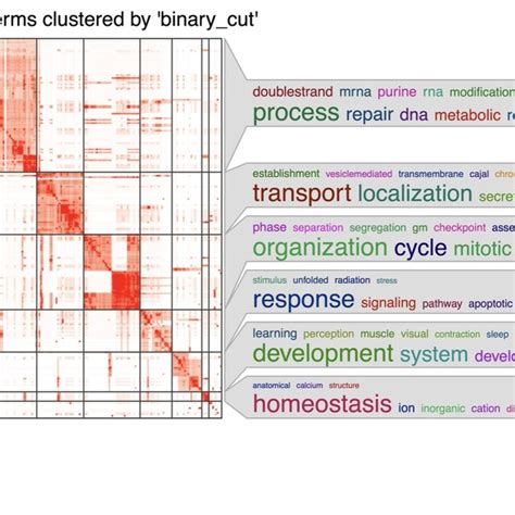 Heatmap Of The Go Term Similarities From The 195 Sample Gene List The