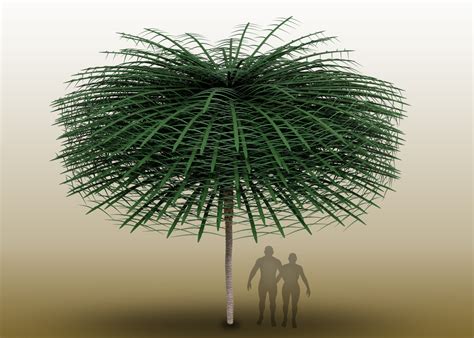 New Carboniferous Tree Discovered With A Really Weird Shape Can Anyone Guess Its Name R