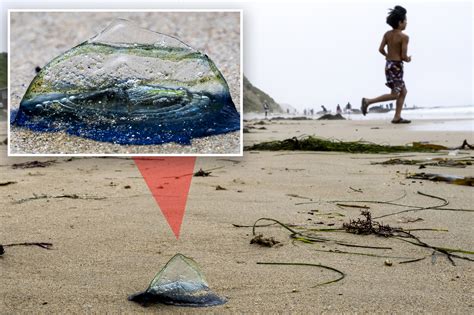 Plastic Blob In Ocean