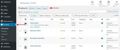 Export Woocommerce Products The Simple Guide To Export Products