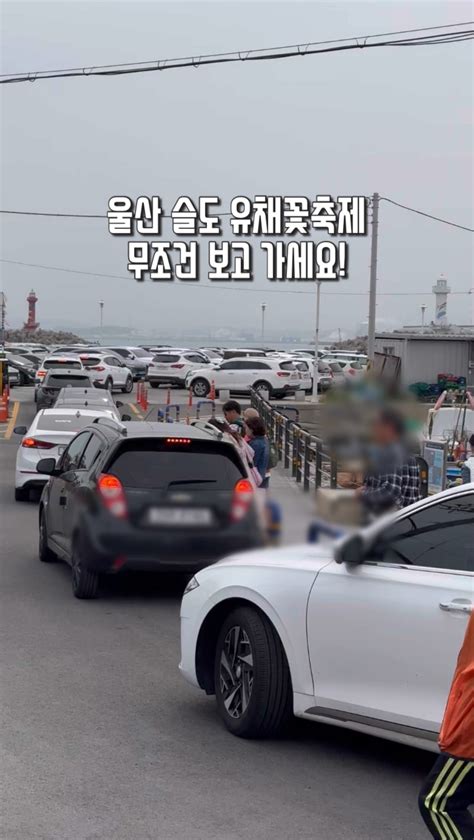 25년3월11일 실시간 ⭐️저장해서 다음 여행할때 꺼내보세요⭐️ ⭐️혹은 친구야~ 자기야~ 여기가자라고 보내보세요~⭐️ 🔊진짜