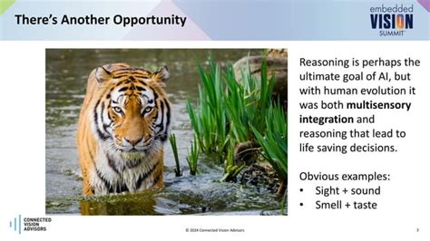 “entering The Era Of Multimodal Perception” A Presentation From