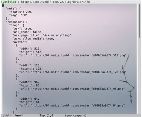 Oauth2 Sample Flow In Elisp