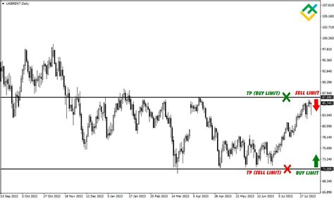 Limit Order Meaning Examples And Advantages Litefinance
