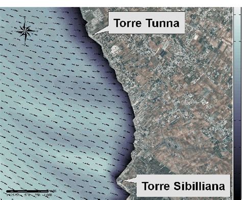Swan Outputs Arrows Indicating The Waves Propagation Direction Over Download Scientific