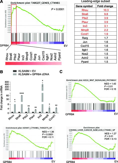 GSEA Of Our Array Data Reveals GPR84 Mediated Enrichment Of Gene Download Scientific Diagram