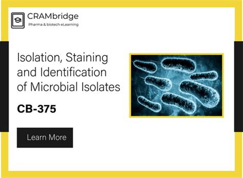 Classification Of Isolates Crambridge