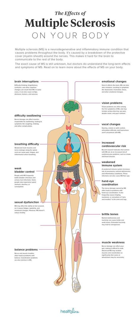 The Effects Of Multiple Sclerosis On Your Body Artofit