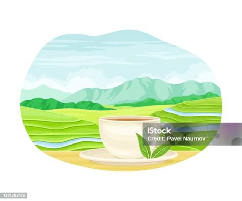 차 녹색 테라스 필드 농장 및 뜨거운 향기로운 음료 양조 벡터 일러스트 레이 션과 세라믹 컵 0명에 대한 스톡 벡터 아트 및