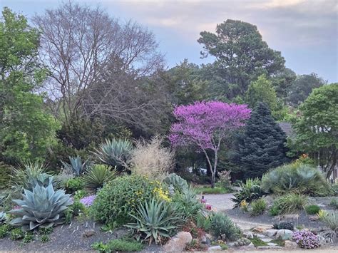 As The Garden Awakens Juniper Level Botanic Garden
