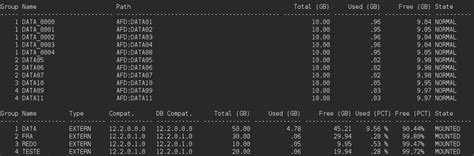 Oradicas Roteiro De Utilização Asm Filter Driver Asmfd