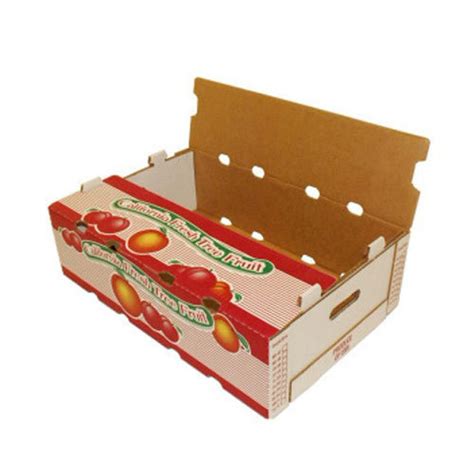 Fruit Packaging Box At Rs 50piece Packaging Boxes In New Delhi Id