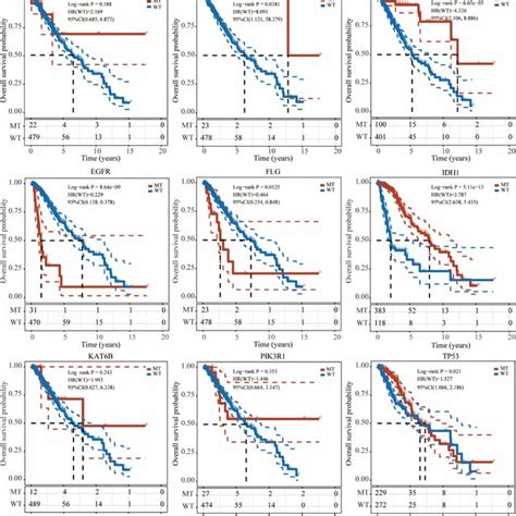 Prognostic Analysis Of Nine Mutated Genes In Mutant And Wild Type