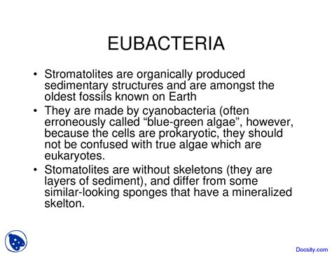 Eubacteria Environmental Geology Lecture Slides Docsity