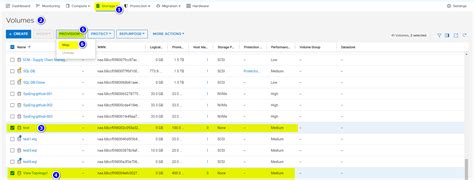 How To Map Volumes To A Host Or Host Group In PowerStore StorageArea Network