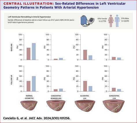 Sex Related Differences In Left Ventricular Geometry Patterns In