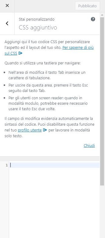 Come Aggiungere Codice Css Personalizzato Su Wordpress