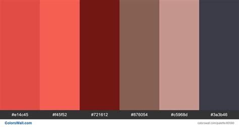 Web Development Animation Logo Design Color Palette