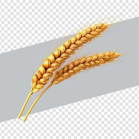 Premium Psd Wheat Isolated On White Background