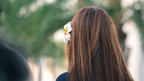 Steven Kramer Flickr