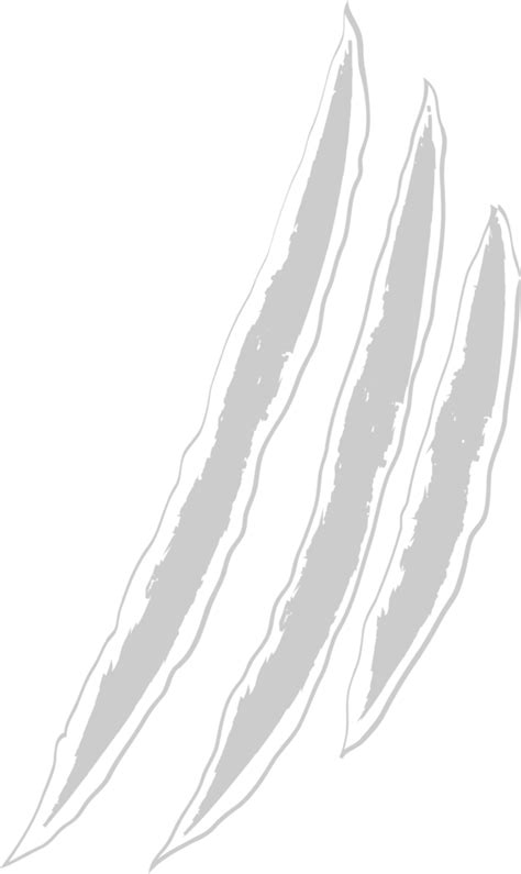 Scratch 36661109 Vector Art At Vecteezy